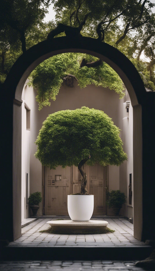 Lightweight Plant Pots Perth | Large Pots and Planters – Lightweight ...