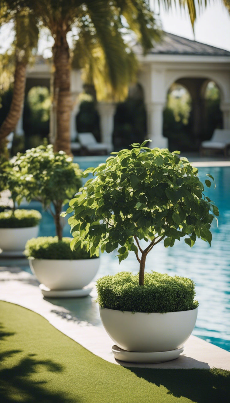 Lightweight Plant Pots Perth | Large Pots and Planters – Lightweight ...